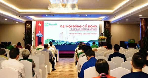 ĐHĐCĐ 2024 Taxi Mai Linh (MLG): Đặt mục tiêu lãi sau thuế gấp 15 lần ...