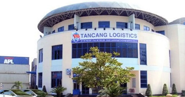 Tân Cảng Logistics (TCL) chốt quyền nhận cổ tức năm 2024 bằng tiền, tỷ ...