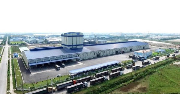 Nông nghiệp Hòa Phát (HPA): Lãi ròng 2025 tăng 55%, đếm ngược ngày ...