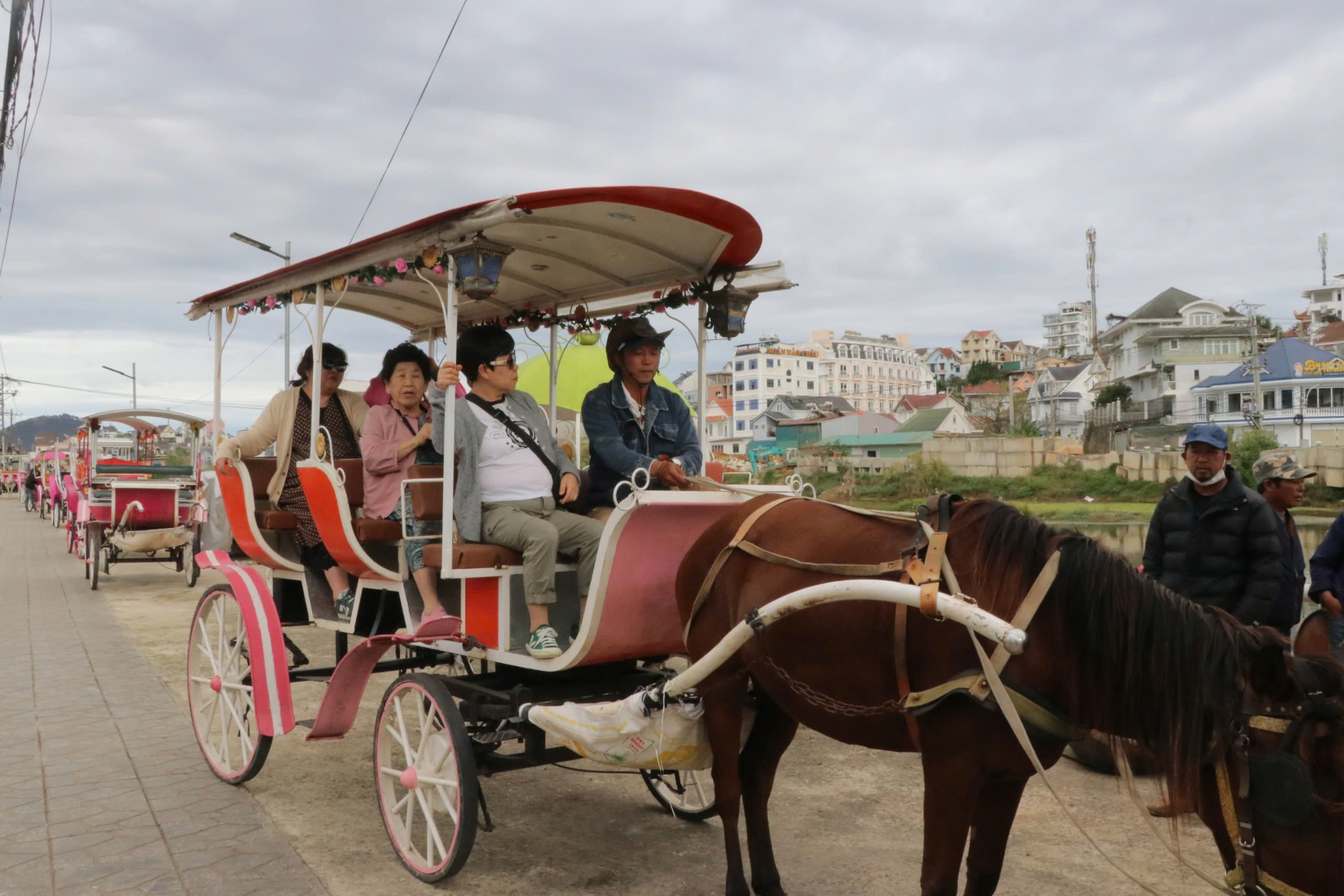 Đà Lạt không cấm dịch vụ vận chuyển khách du lịch bằng xe ngựa | Báo ...